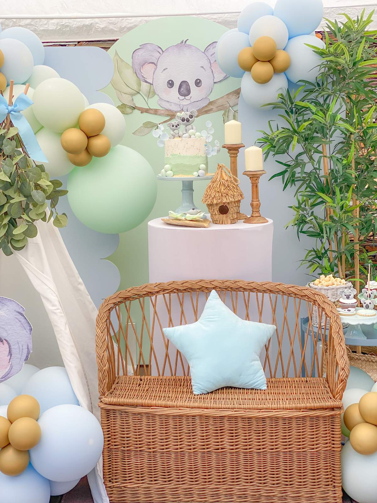 Koala Party Birthday Party Ideas | Photo 16 of 21 | Catch My Party