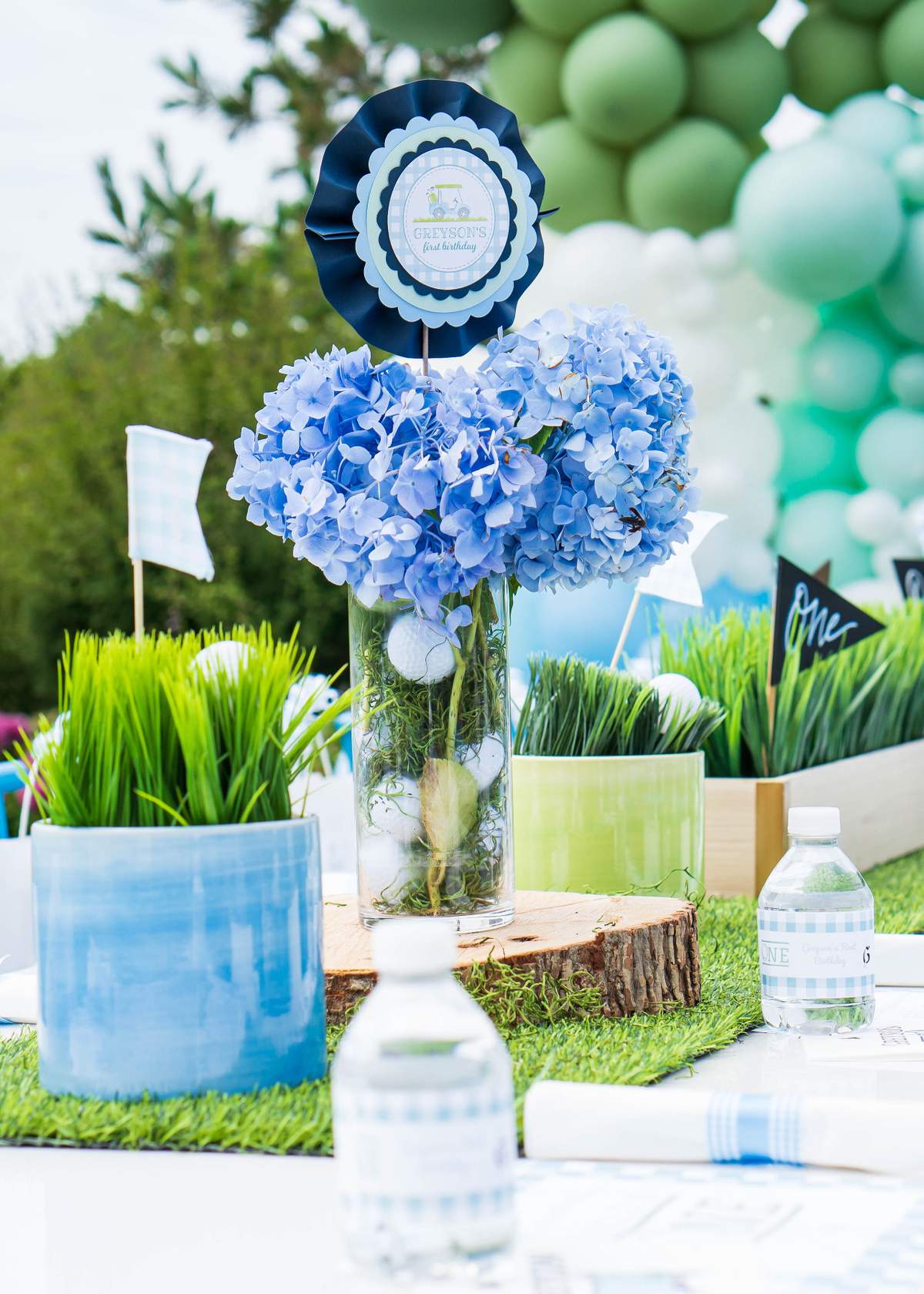 Golf / Birthday "Greyson's Hole in ONE 1st Birthday" | Catch My Party