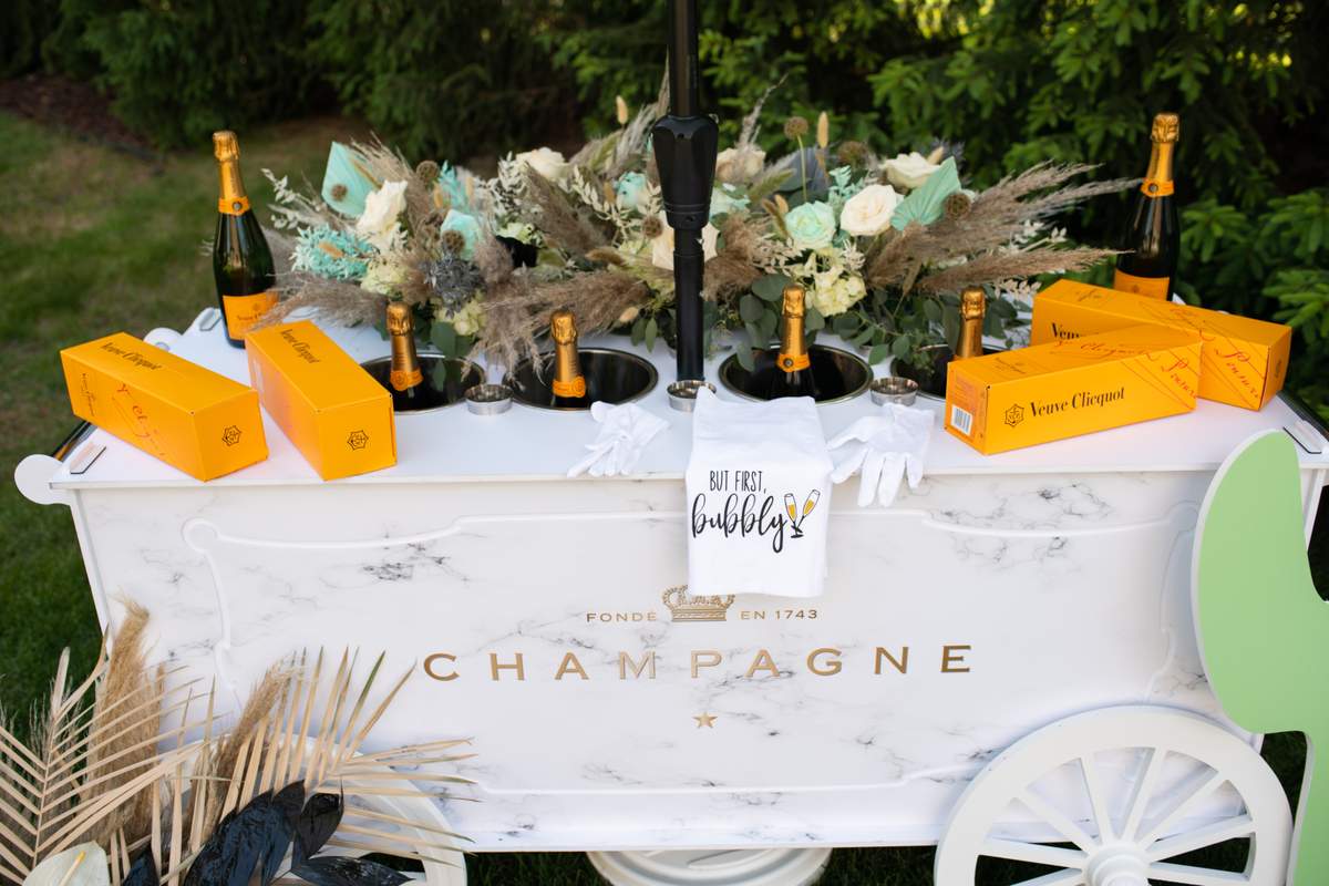 Outback/Australian Birthday Party Ideas | Photo 20 of 23 | Catch My Party