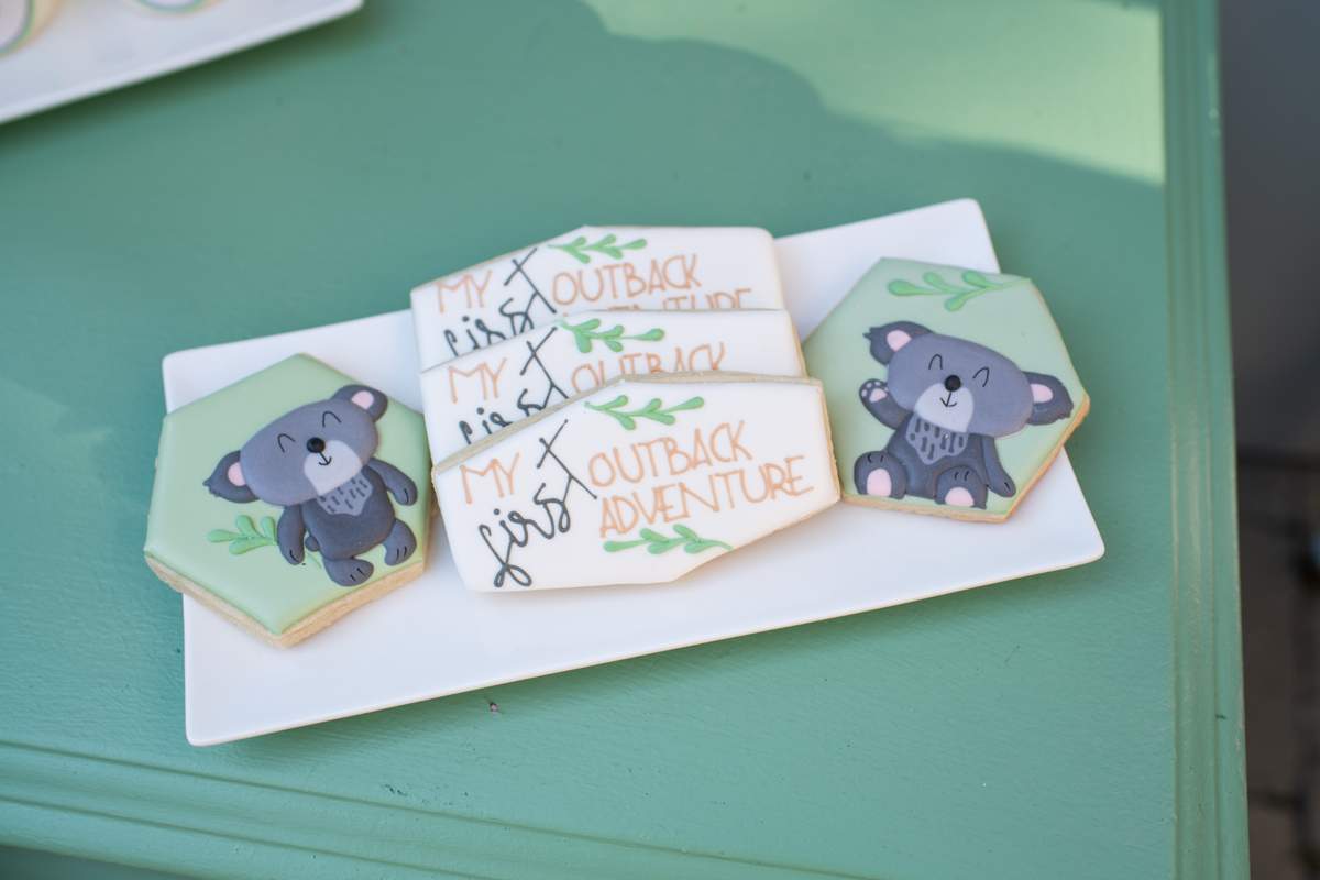 Outback/Australian Birthday Party Ideas | Photo 20 of 23 | Catch My Party