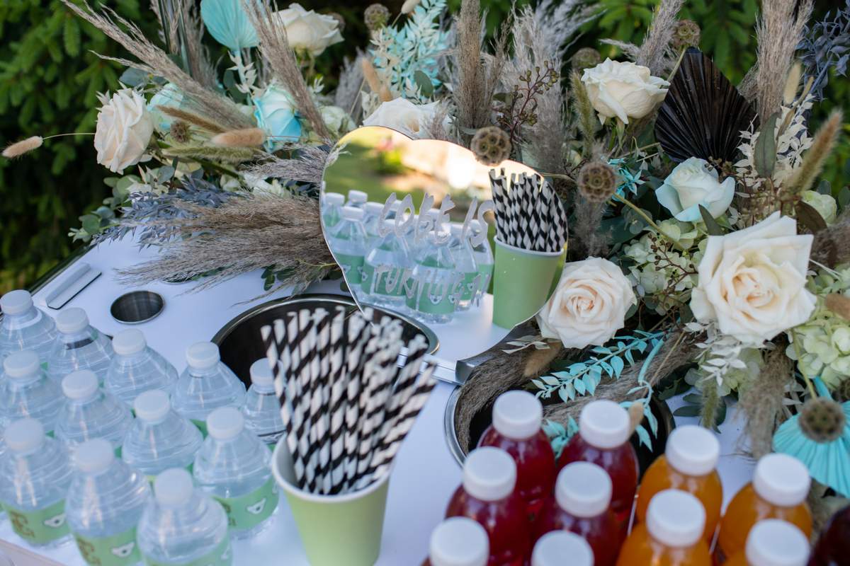 Outback/Australian Birthday Party Ideas | Photo 20 of 23 | Catch My Party