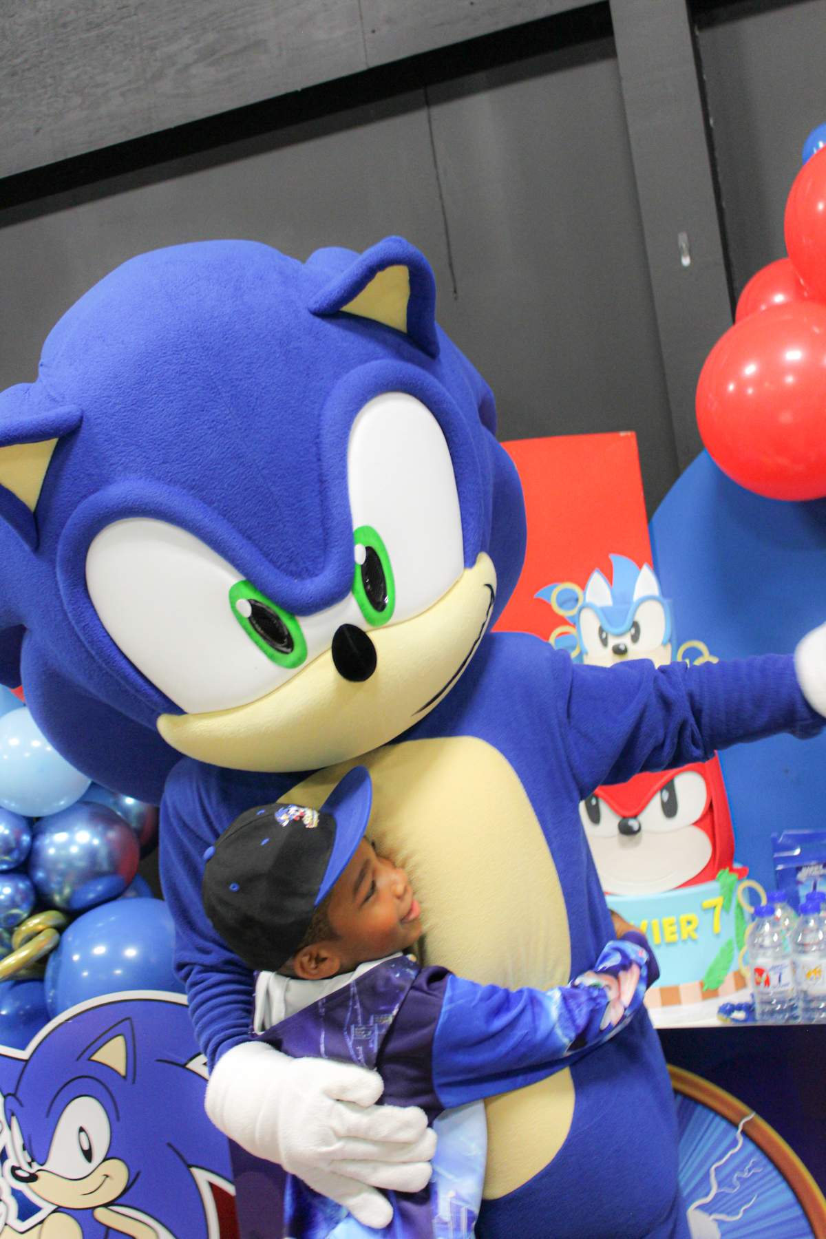 Sonic the Hedgehog Birthday Party Ideas | Photo 5 of 13 | Catch My Party