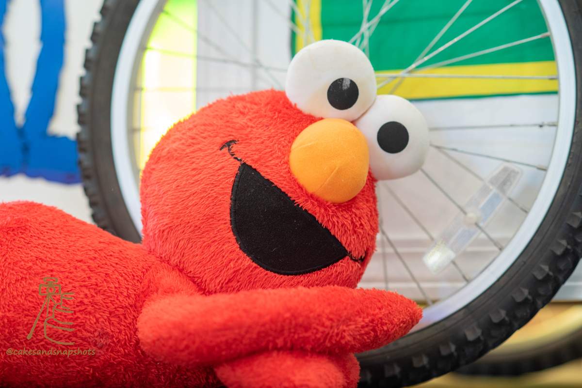 Sesame Street Birthday Party Ideas | Photo 1 of 25 | Catch My Party