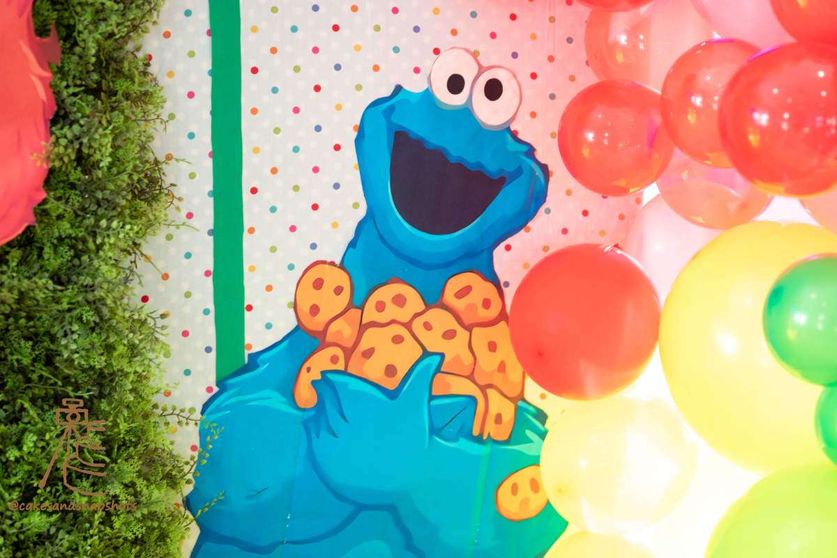 Sesame Street Birthday Party Ideas | Photo 1 of 25 | Catch My Party