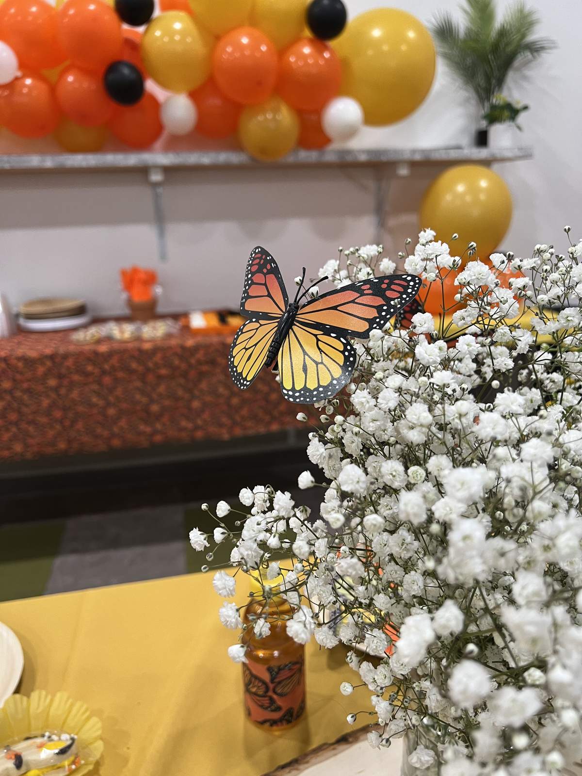 Butterfly / Birthday "Dolly’s Butterfly Soirée " | Catch My Party