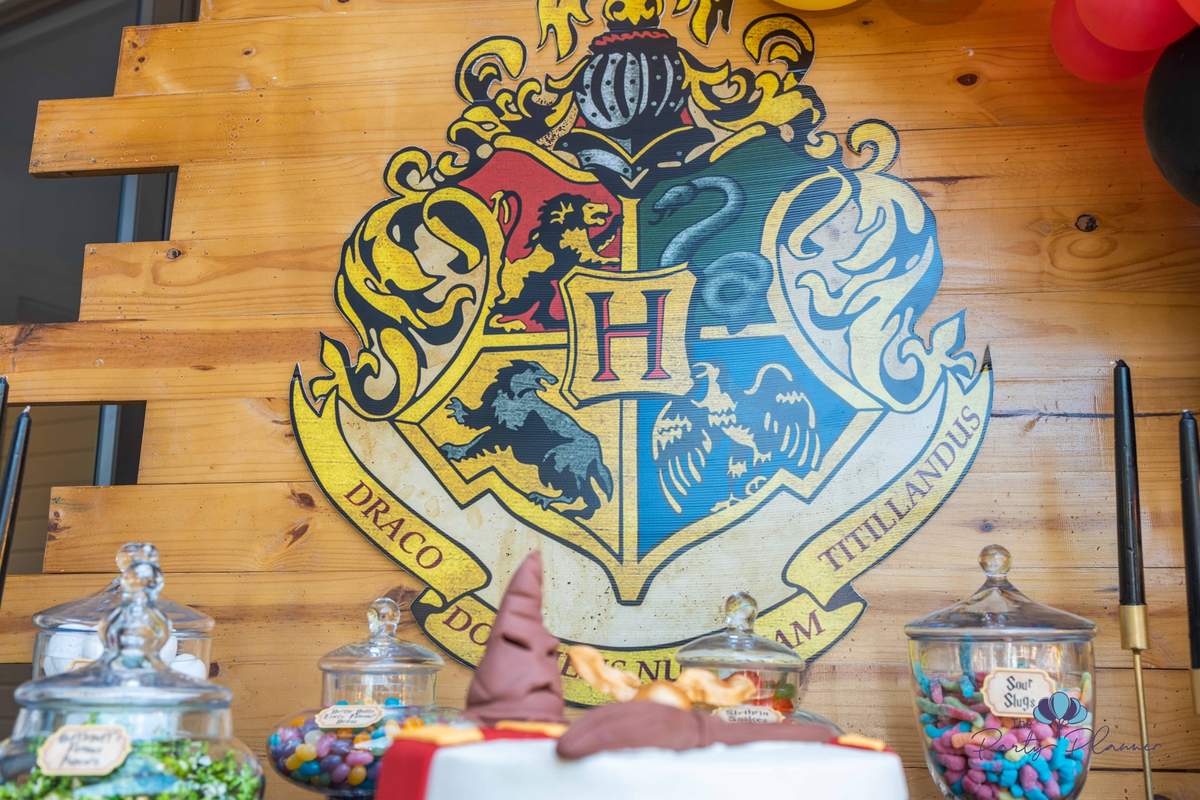 Harry Potter / Birthday "Harry Potter" | Catch My Party