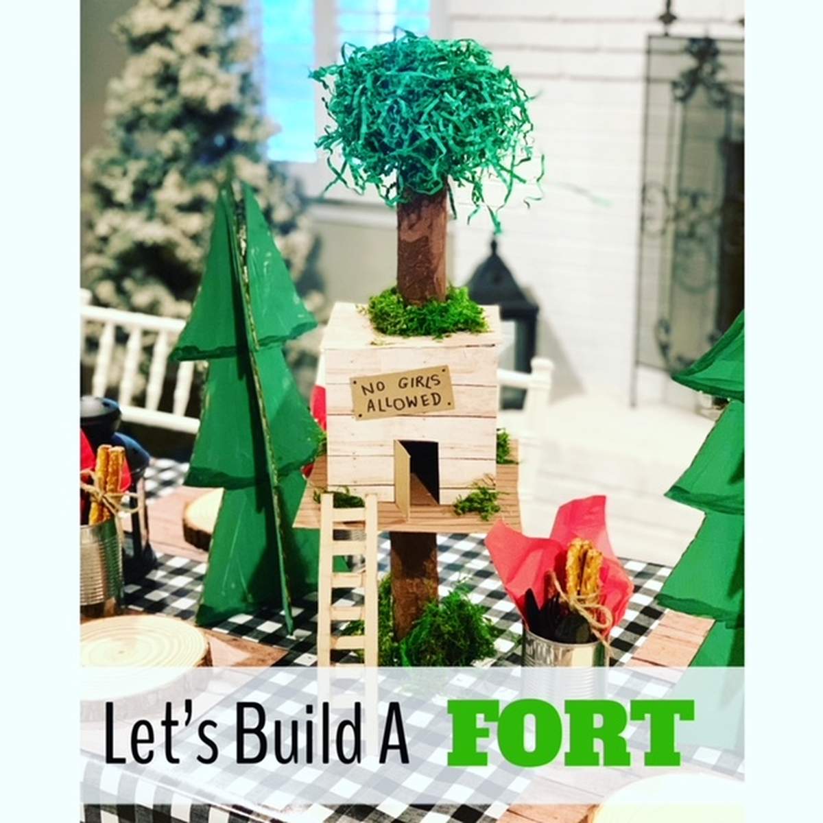 Fort Building Party / Birthday "Let's Build A Fort" | Catch My Party
