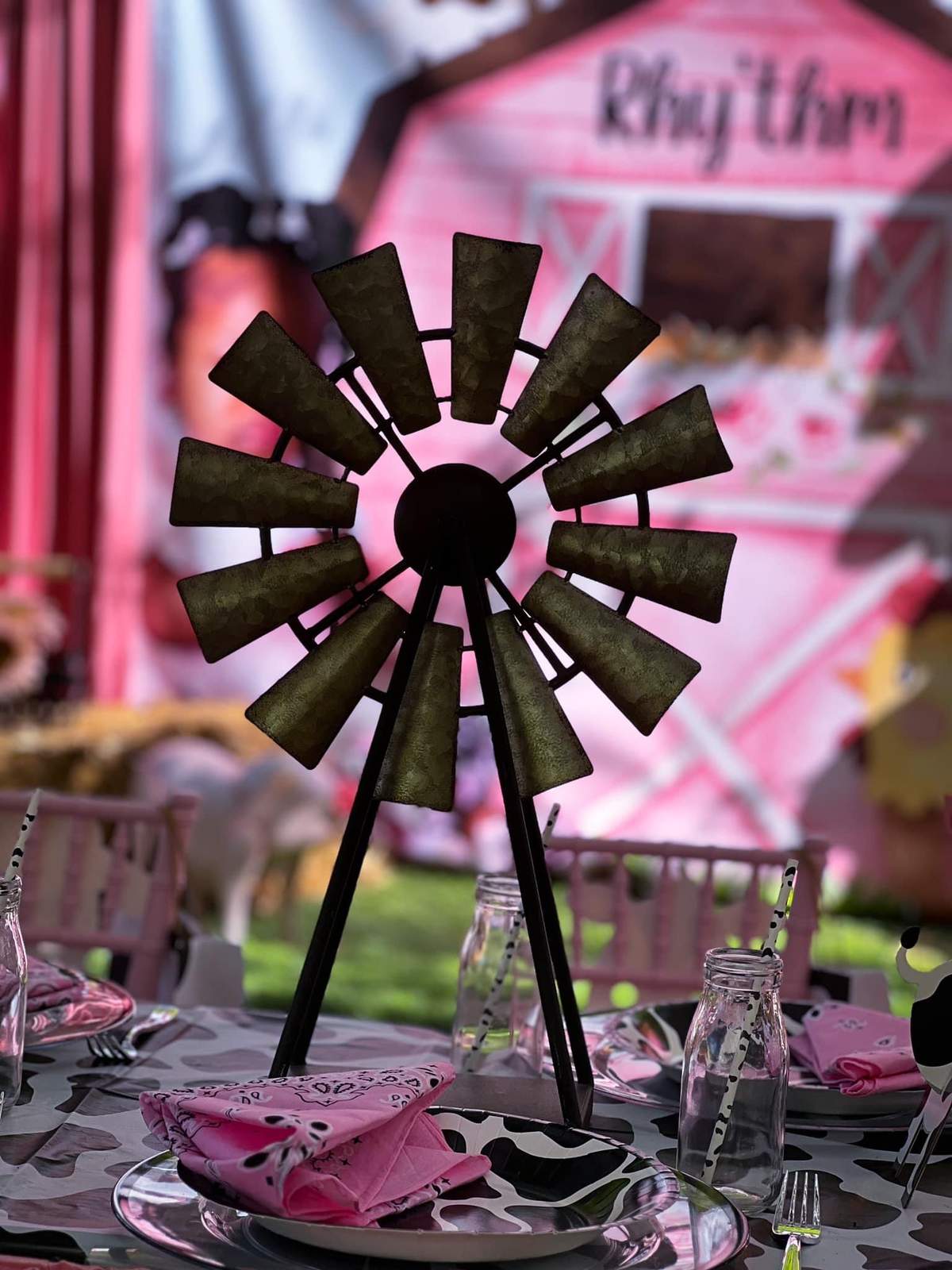 Pink Farm Party Birthday Party Ideas | Photo 1 of 36 | Catch My Party