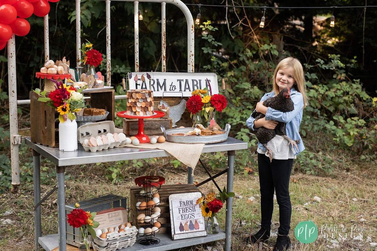 Down on the Farm Chicken Party Birthday Party Ideas | Photo 6 of 34 ...