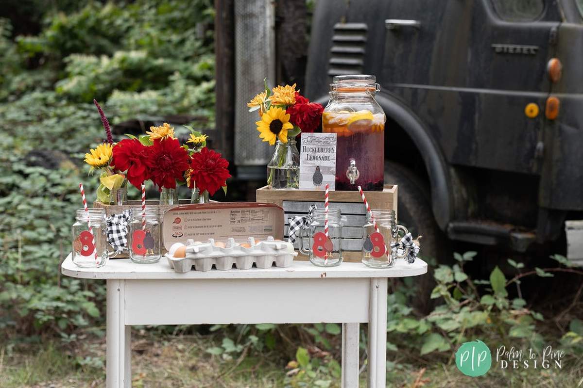 Down on the Farm Chicken Party Birthday Party Ideas | Photo 34 of 34 ...