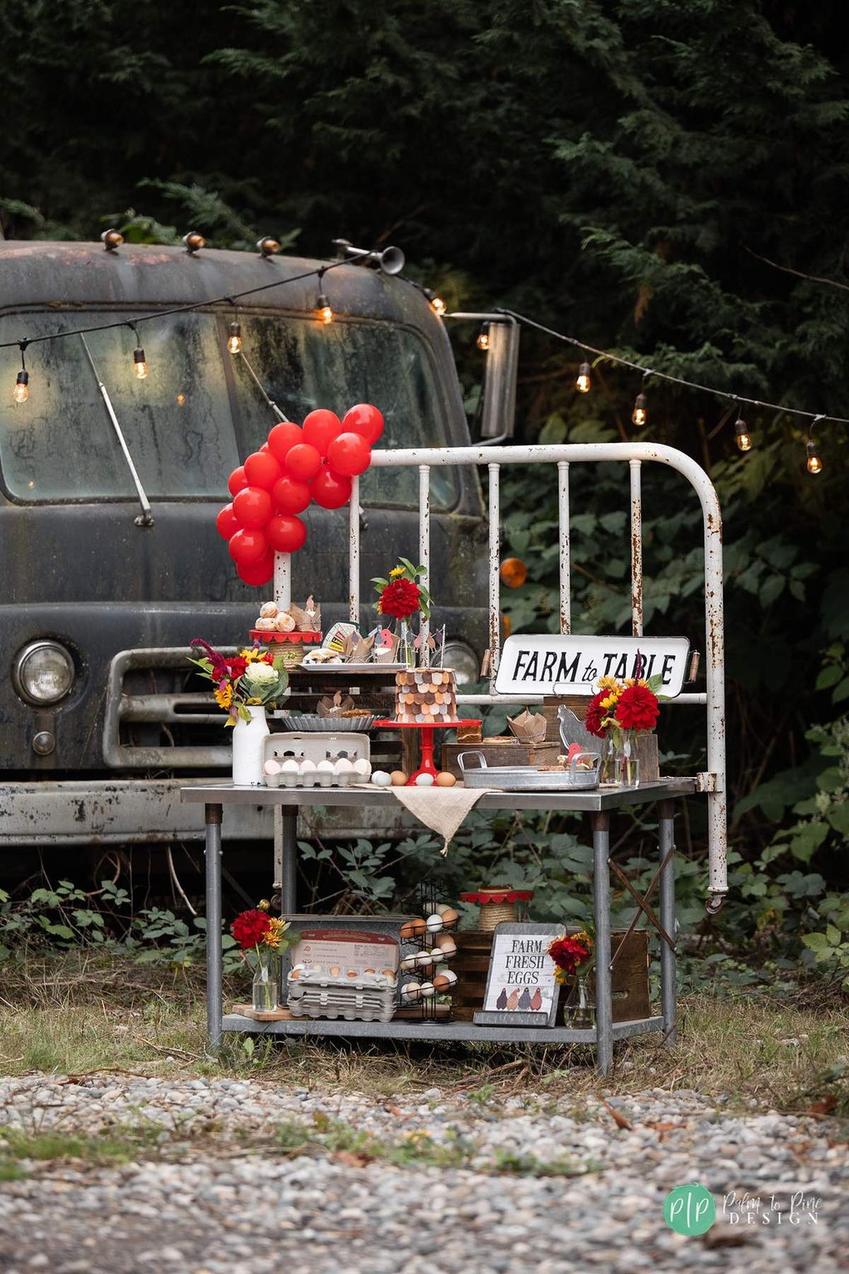 Down on the Farm Chicken Party Birthday Party Ideas | Photo 34 of 34 ...