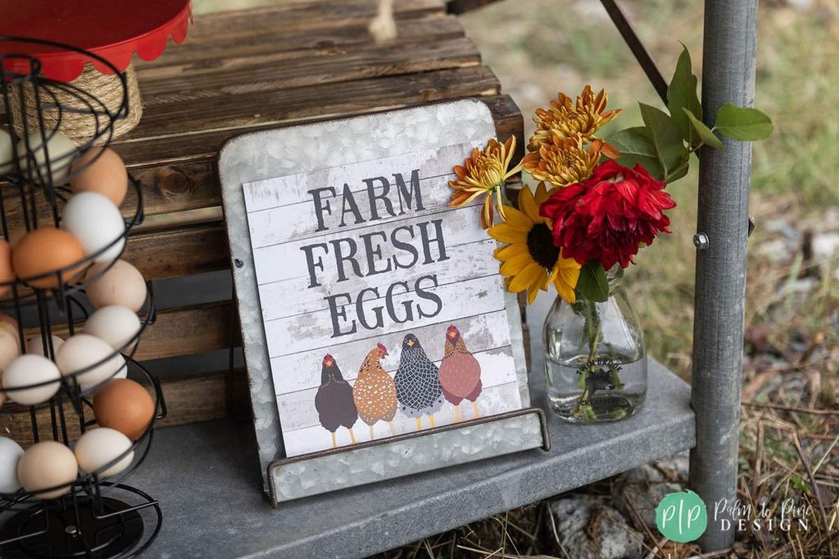Down on the Farm Chicken Party Birthday Party Ideas | Photo 34 of 34 ...
