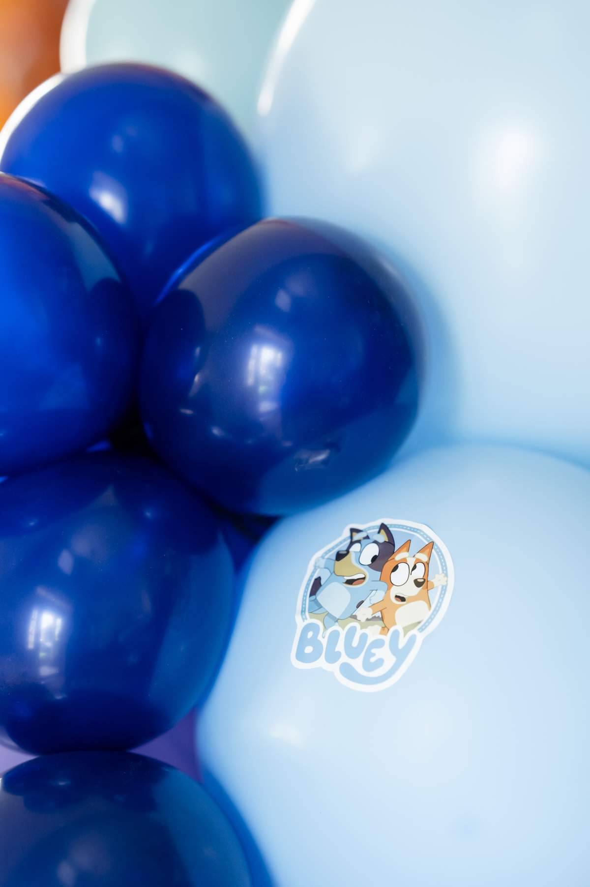 Bluey Birthday Party Ideas Photo 2 Of 80 Catch My Party
