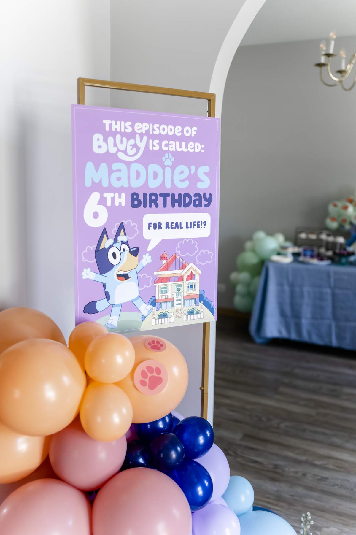 Bluey Birthday Party Ideas Photo 2 Of 80 Catch My Party
