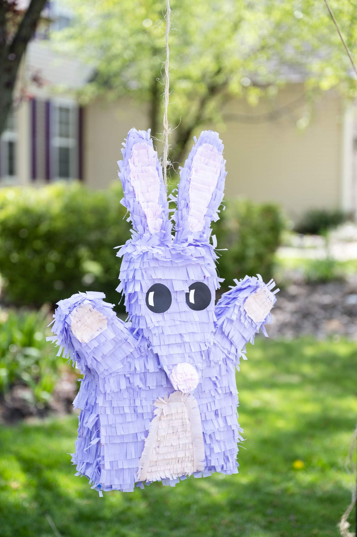 Bluey Birthday Party Ideas Photo 2 Of 80 Catch My Party