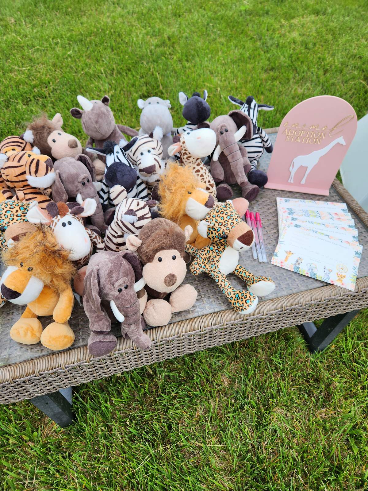 Wild One Birthday Party Ideas | Photo 6 of 10 | Catch My Party