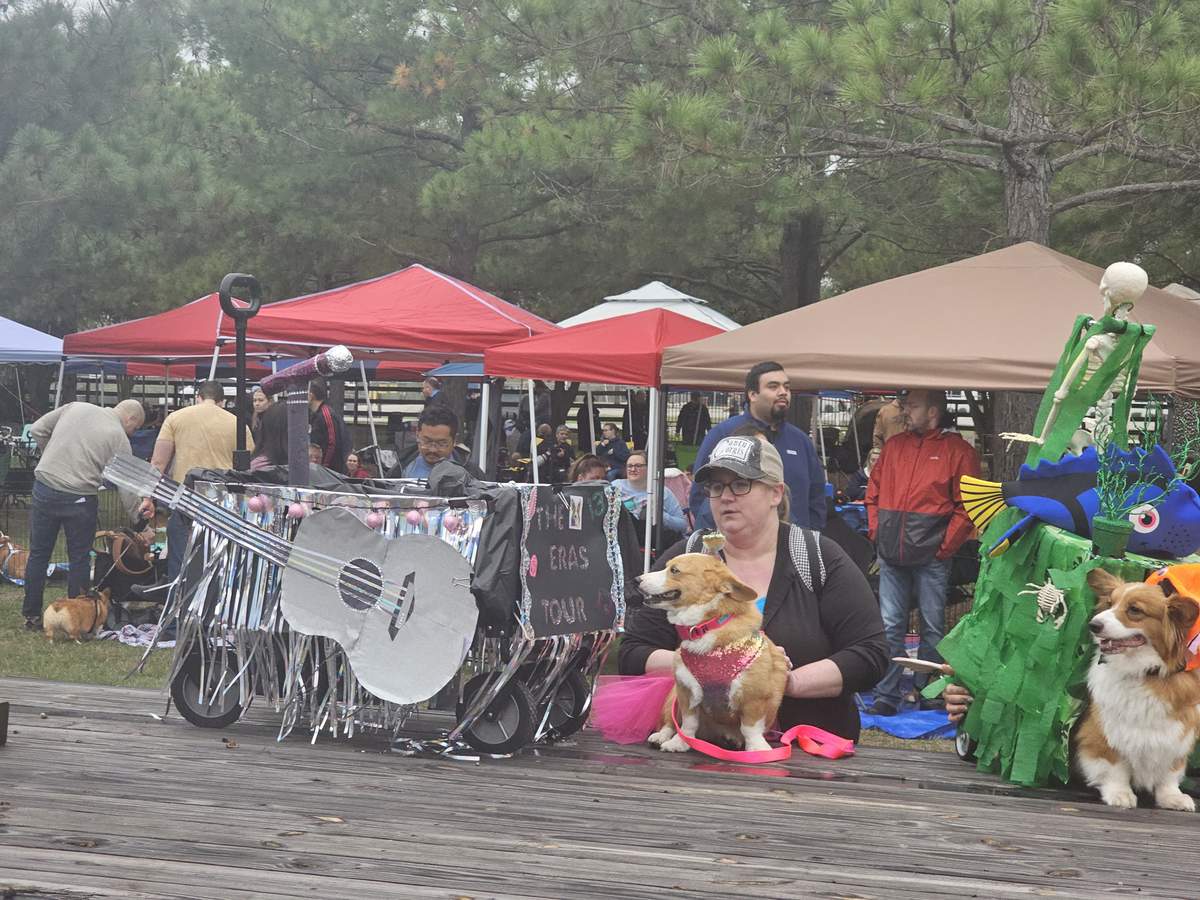 Corgi Dog/Puppy Party Party Ideas | Photo 7 of 9 | Catch My Party