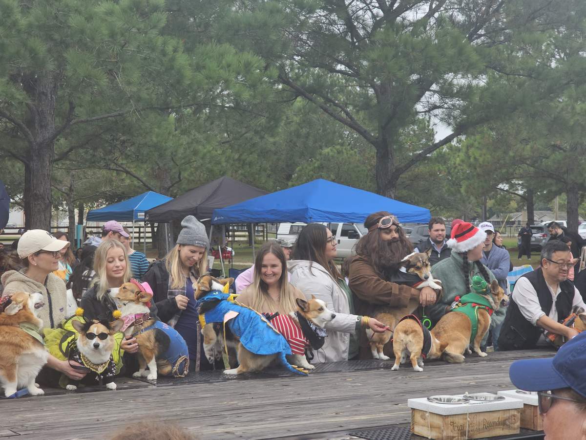 Corgi Dog/Puppy Party Party Ideas | Photo 5 of 9 | Catch My Party