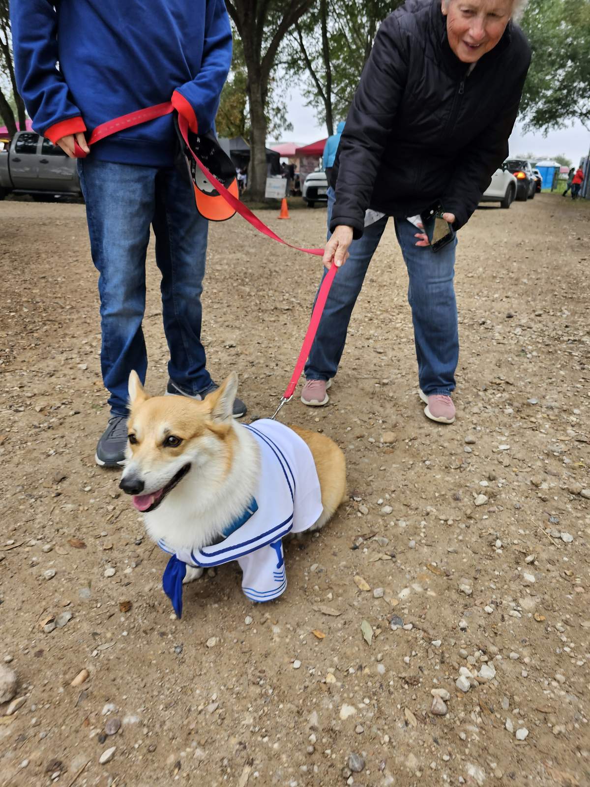 Corgi Dog/Puppy Party Party Ideas | Photo 5 of 9 | Catch My Party