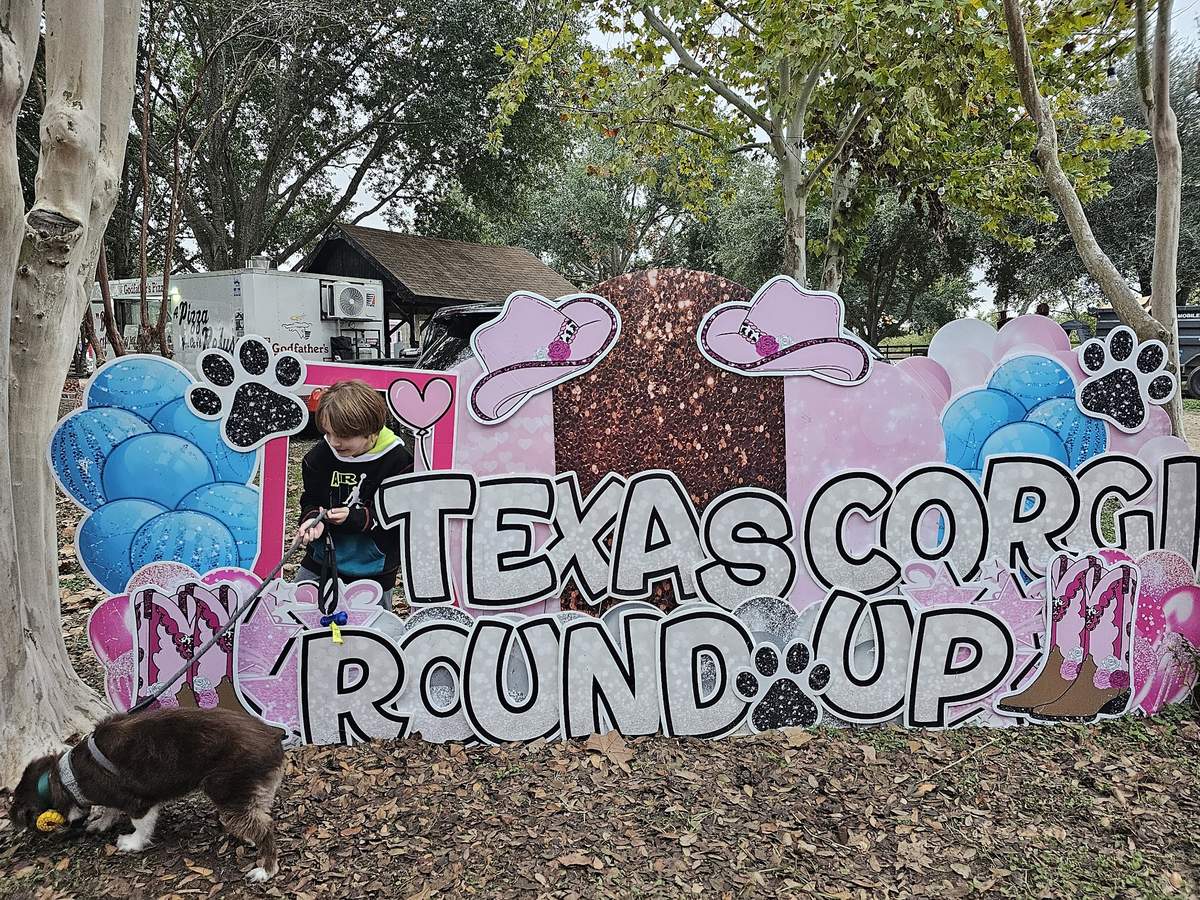 Corgi Dog/Puppy Party Party Ideas | Photo 5 of 9 | Catch My Party