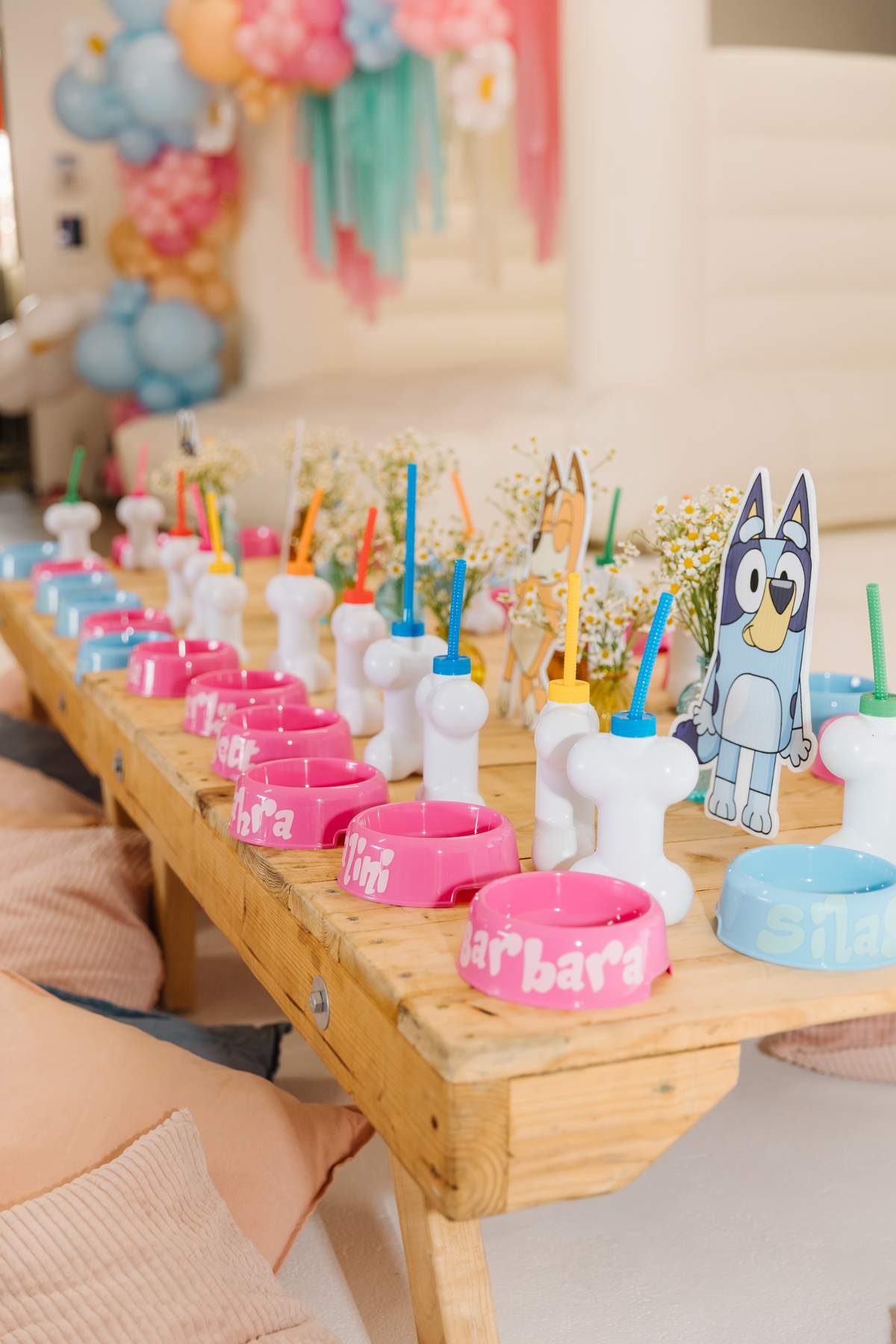 Bluey Birthday Party Ideas | Photo 1 of 46 | Catch My Party