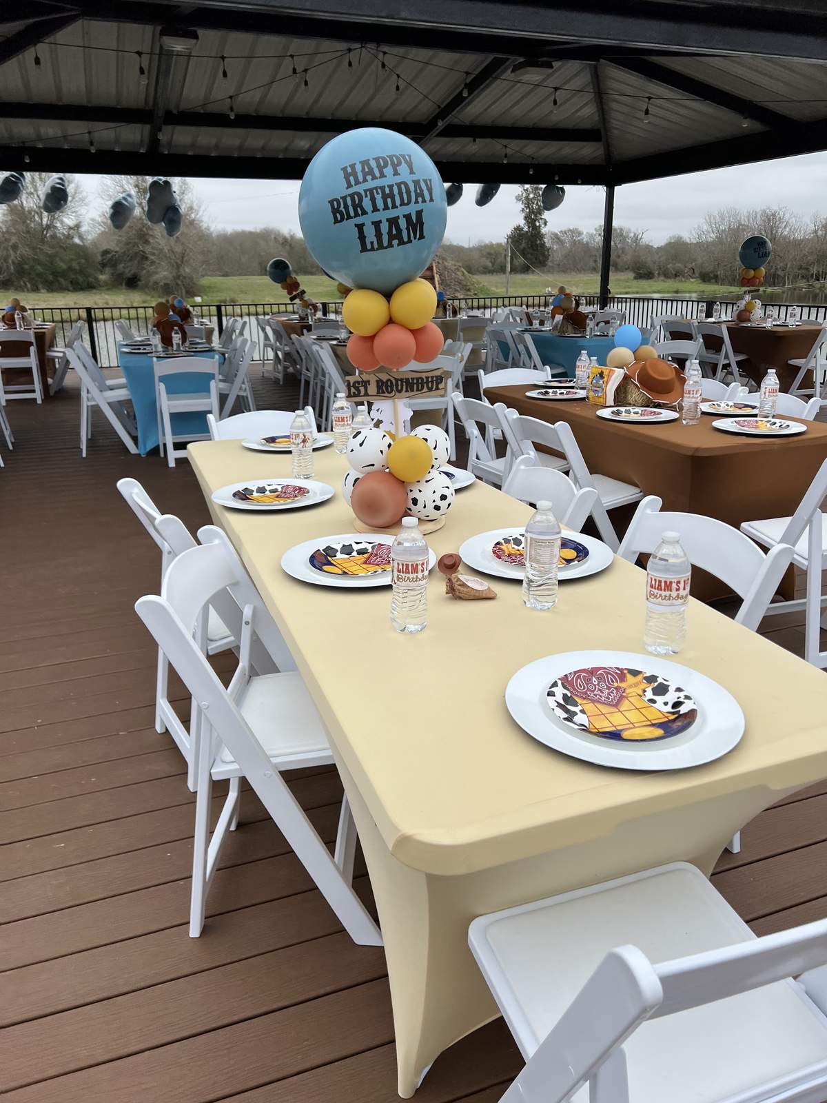 Woody’s Round up Birthday Party Ideas | Photo 4 of 7 | Catch My Party