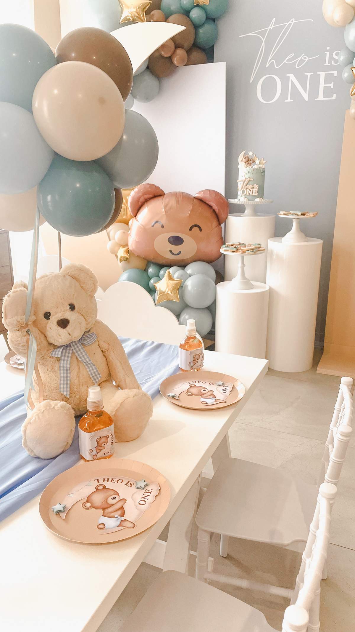 Teddy Bear Birthday Party Ideas | Photo 3 of 17 | Catch My Party