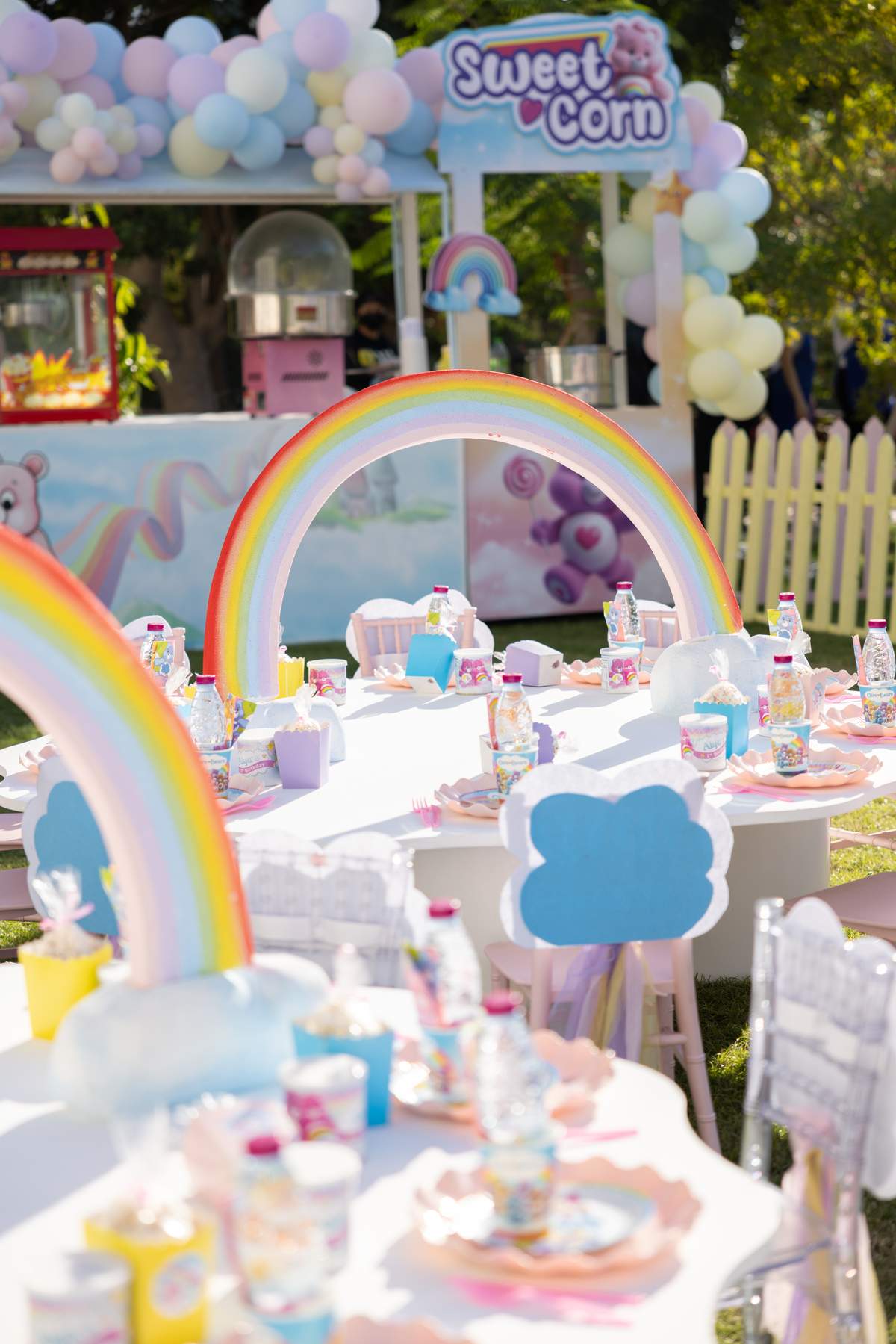 Care Bears Birthday Party Ideas | Photo 22 of 161 | Catch My Party