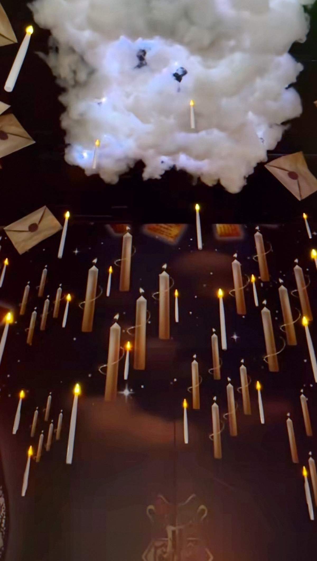 Harry Potter Pop-Up Bar Party Ideas | Photo 3 of 24 | Catch My Party