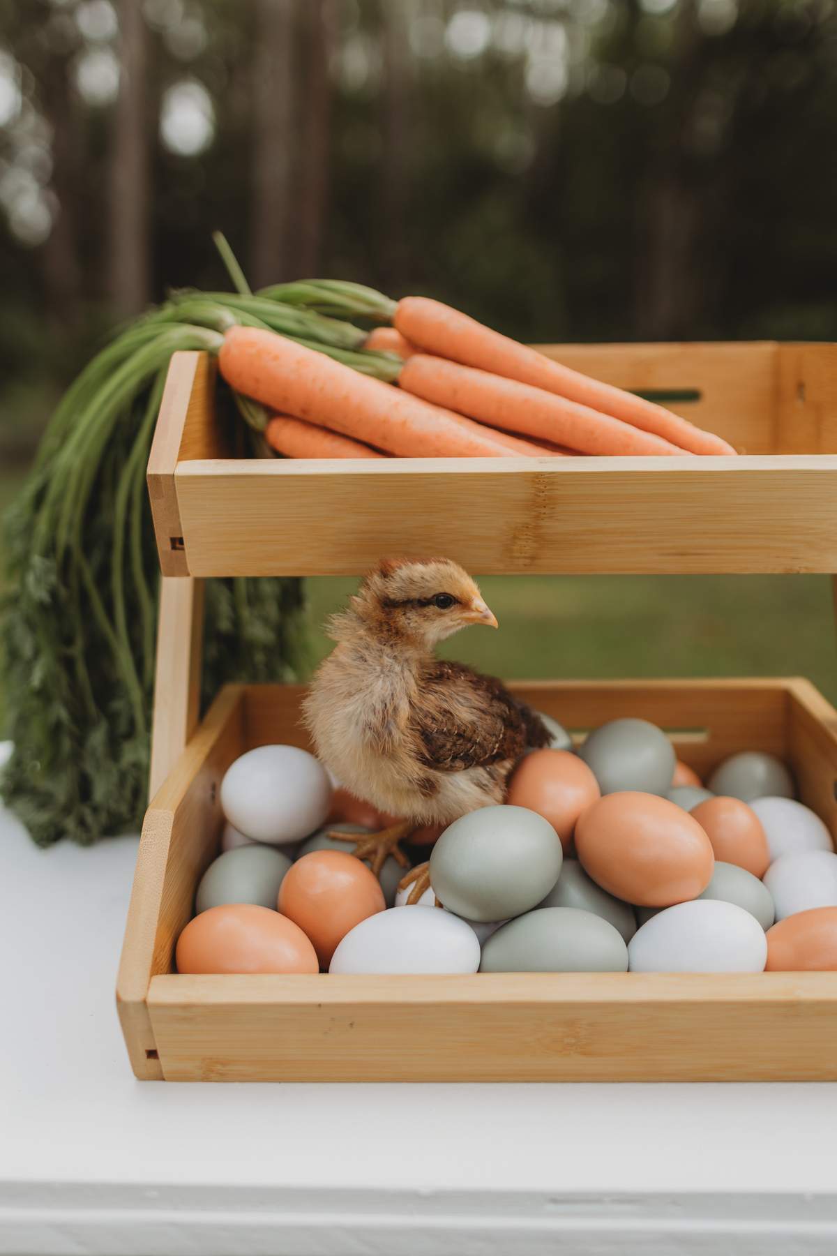 Easter Easter Party Ideas | Photo 9 of 48 | Catch My Party