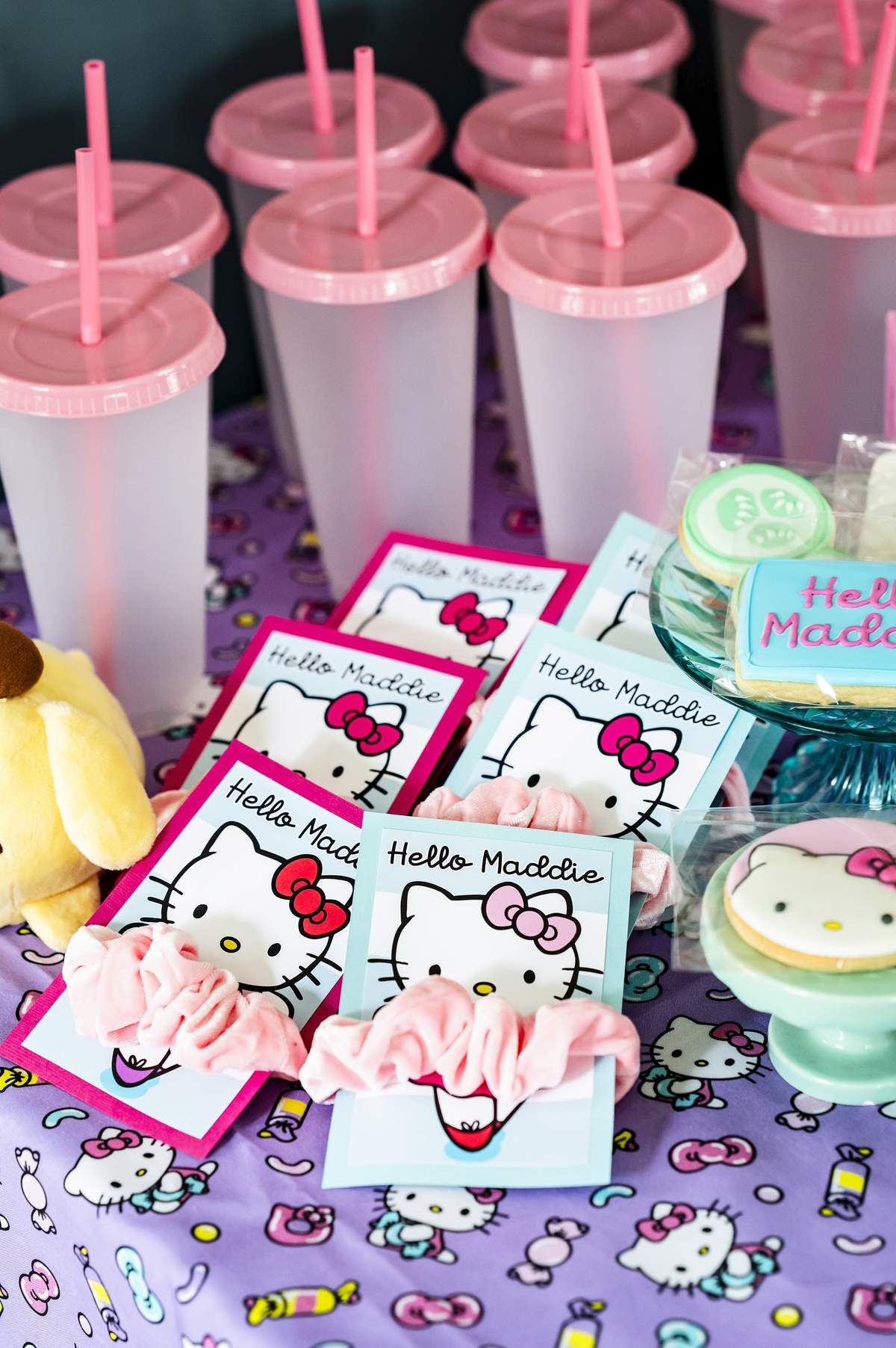 Hello Kitty Wellness Retreat Birthday Party Ideas | Photo 9 of 115 ...