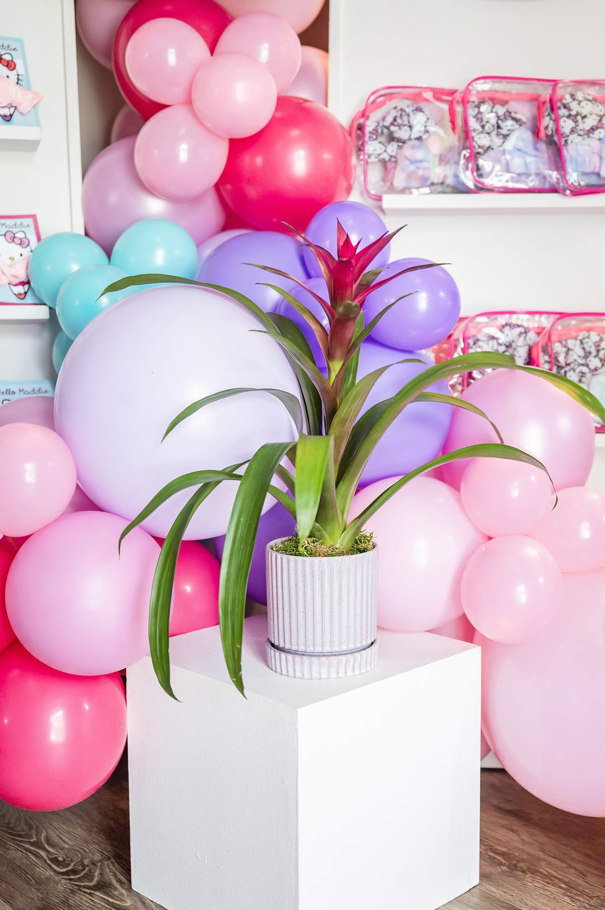 Hello Kitty Wellness Retreat Birthday Party Ideas | Photo 9 of 115 ...