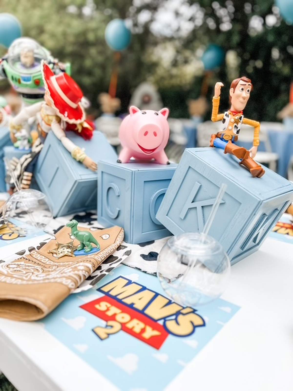 Toy StoryMav / Birthday "Mav's Story" | Catch My Party