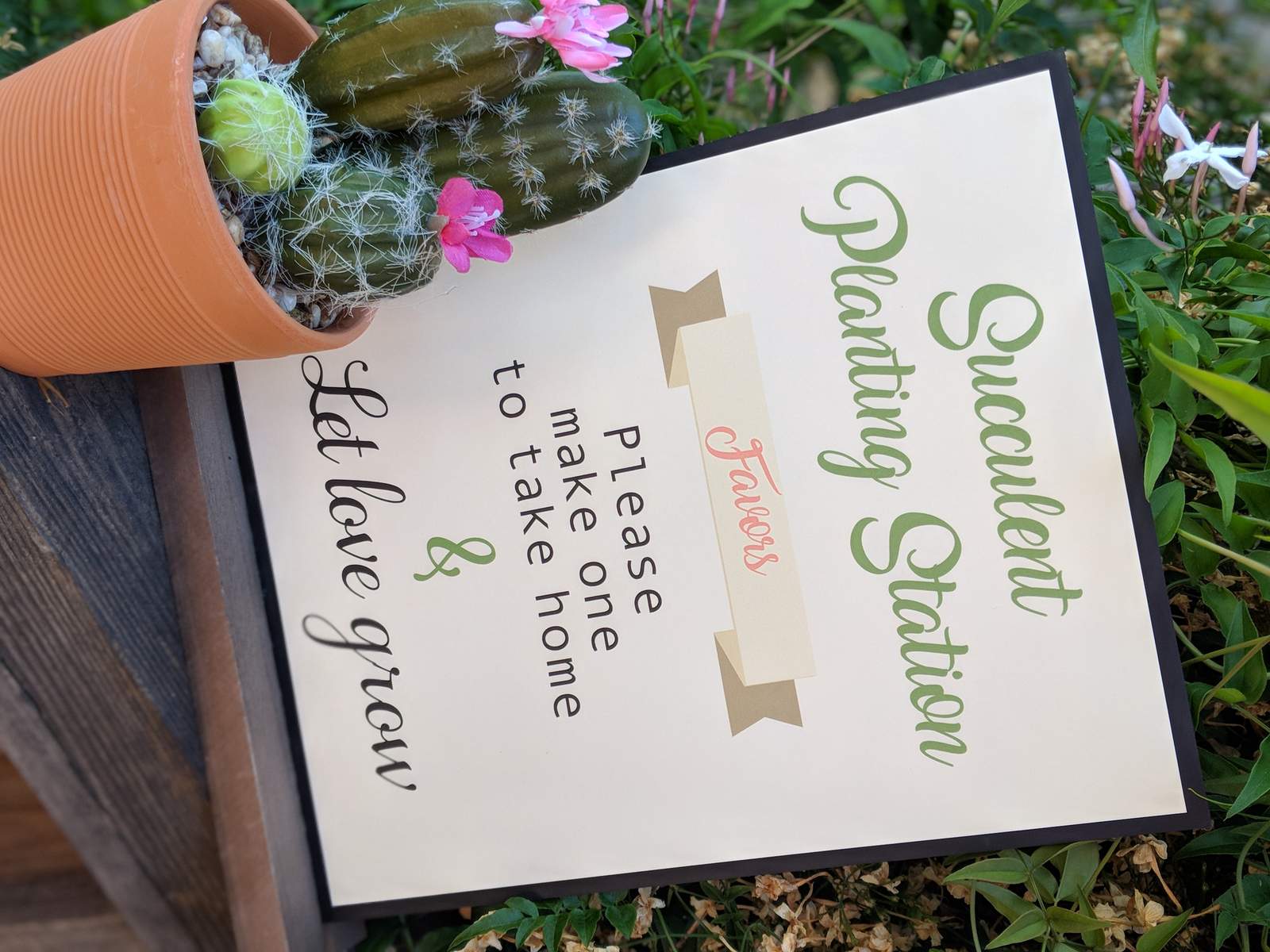 Rustic ( Cactus + Succulent ) theme party Birthday Party Ideas | Photo ...