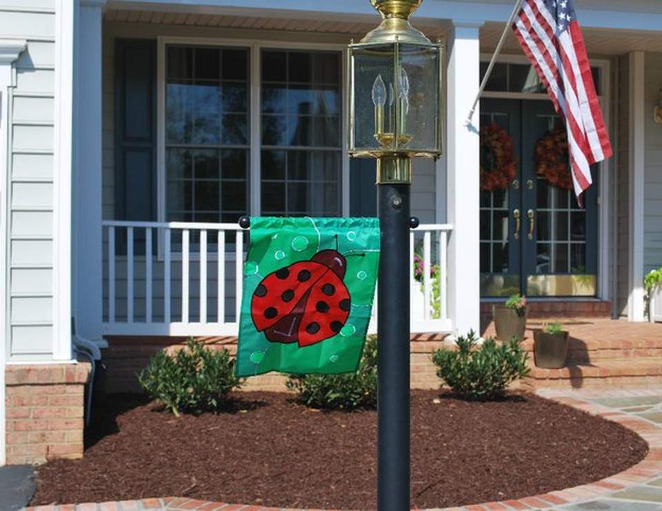 Ladybugs and Flowers / Birthday "A Little Ladybug Garden Party" | Catch ...