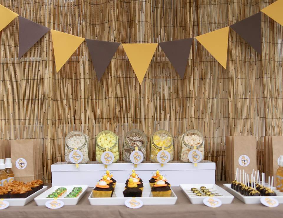 Snakes, Tigers and Reptiles / Birthday "Tommy's Wild Animal Party ...