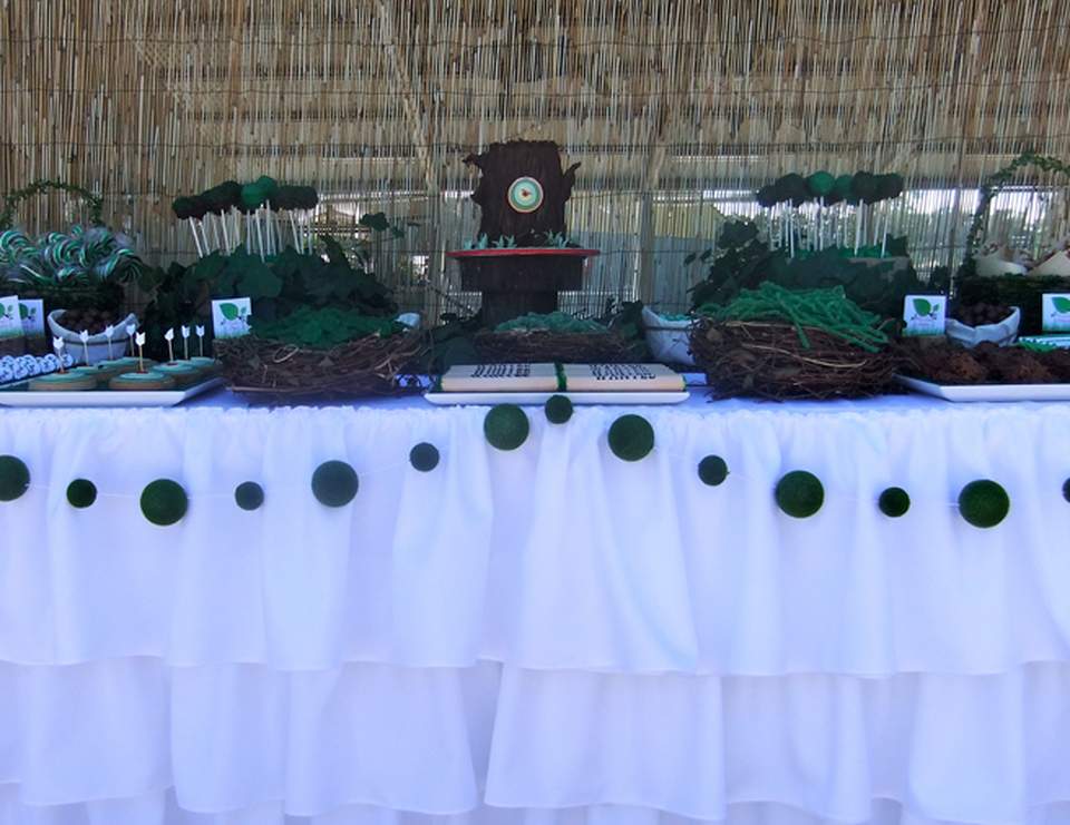 ROBIN HOOD BIRTHDAY PARTY / Birthday "TOUT MON AMOUR " | Catch My Party