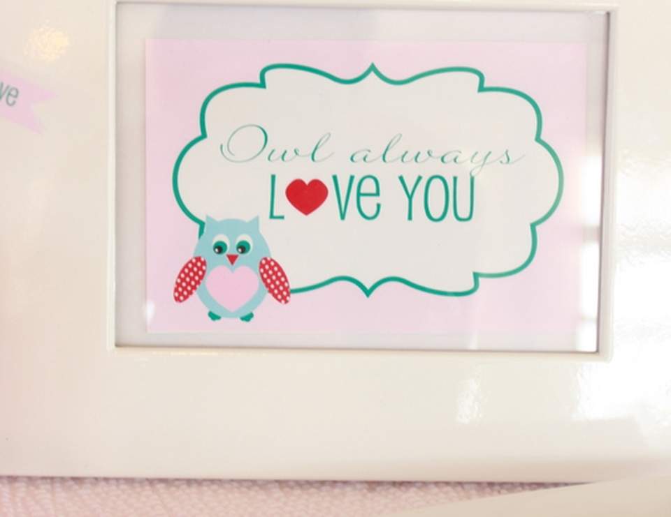 Valentine's Day / Valentine's Day ""Owl Always Love You"" | Catch My Party