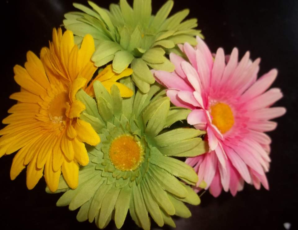 Daisy Spring Flower / Baby Shower "A Baby Shower for Daisie" | Catch My ...