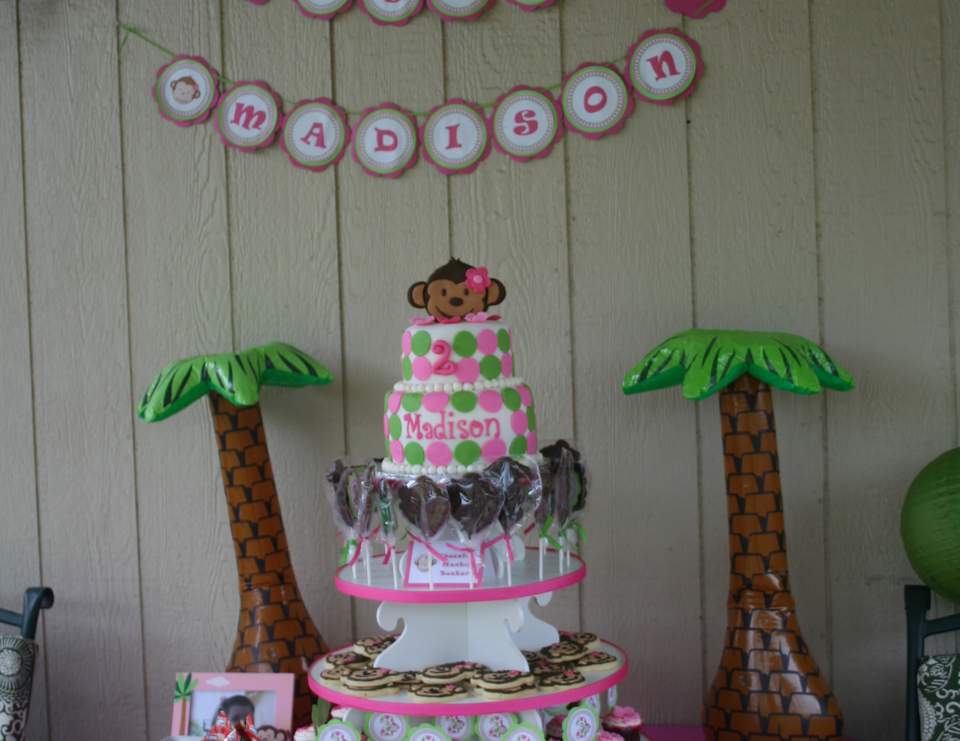 Mod Monkey / Birthday "2nd Birthday party" | Catch My Party