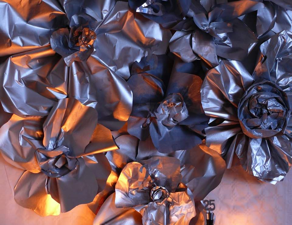 Birthday "Silver 25th Anniversary" | Catch My Party