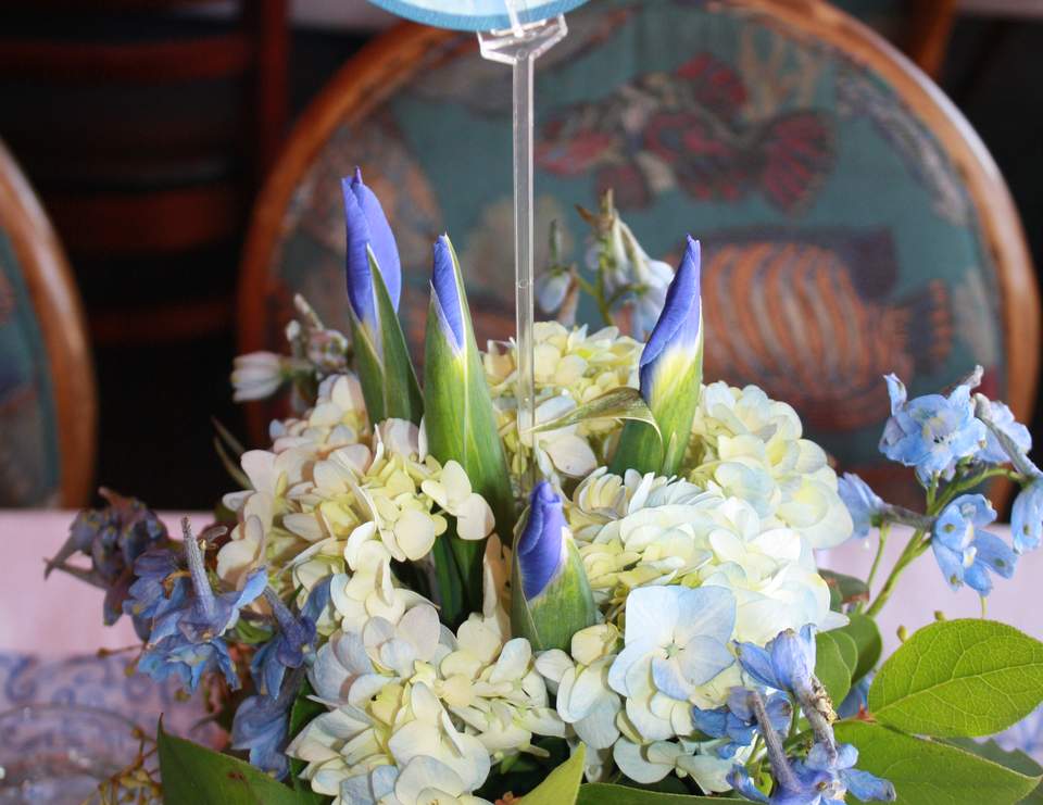 Kappa--Owl, key and fleur-de-lis / Birthday "A Kappa Themed Birthday ...