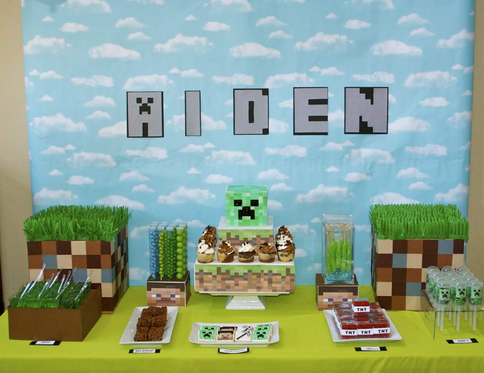 Minecraft! / Birthday "Aiden's Minecraft Birthday!" | Catch My Party