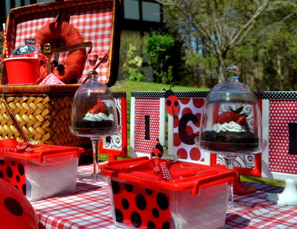 Ladybugs / Picnic "Spotty Dotty Ladybug Picnic" | Catch My Party