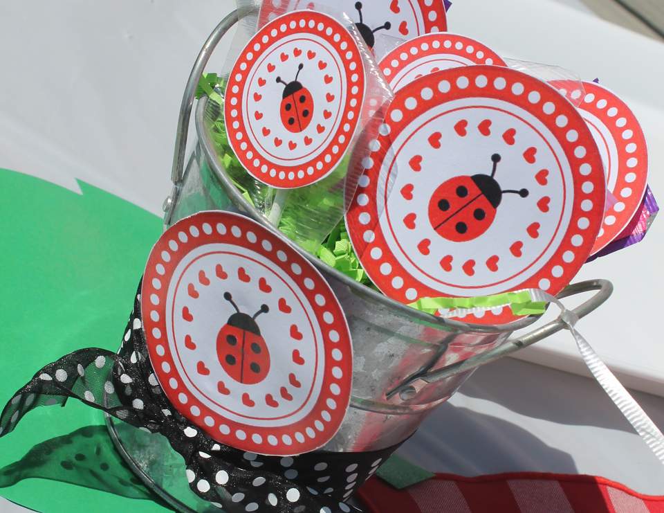 Ladybug / Spring "Ladybug Picnic" | Catch My Party