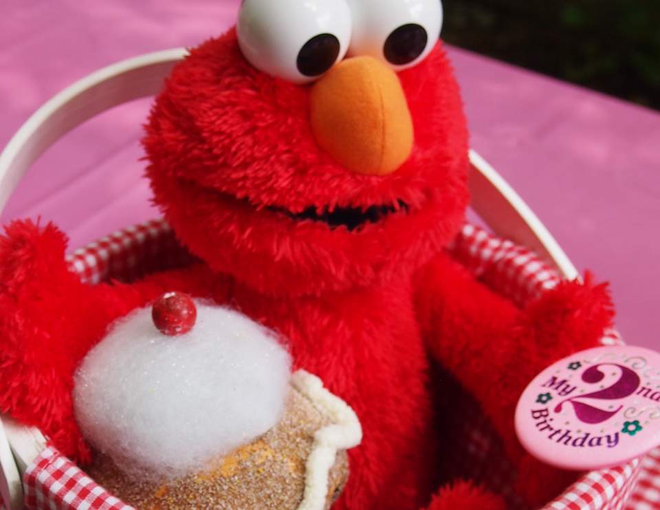 Elmo / Tutus & Tiaras / Tea Party / Birthday "Scarlett & Elmo's Tutus ...