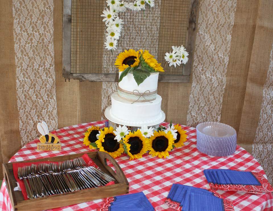 Country Bash cowgirl style / Birthday "Patrice's 30th Surprise Birthday ...