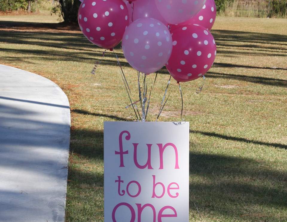 pink ballerina / Birthday "Fun to be One" | Catch My Party