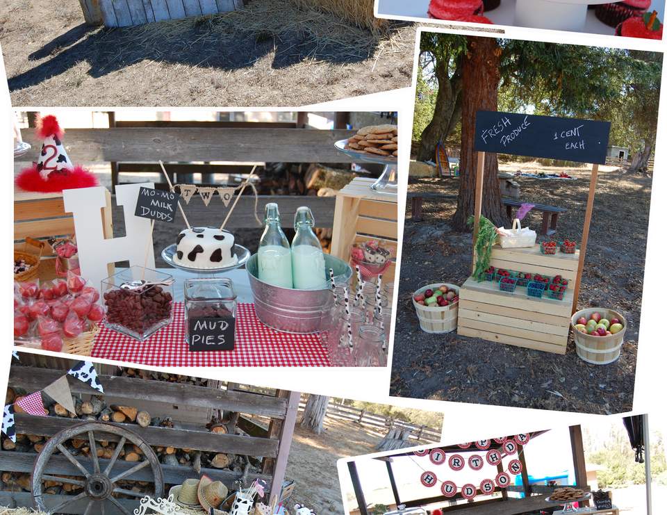 Farm, Barnyard / Birthday "Barnyard/Farm Birthday Party" | Catch My Party