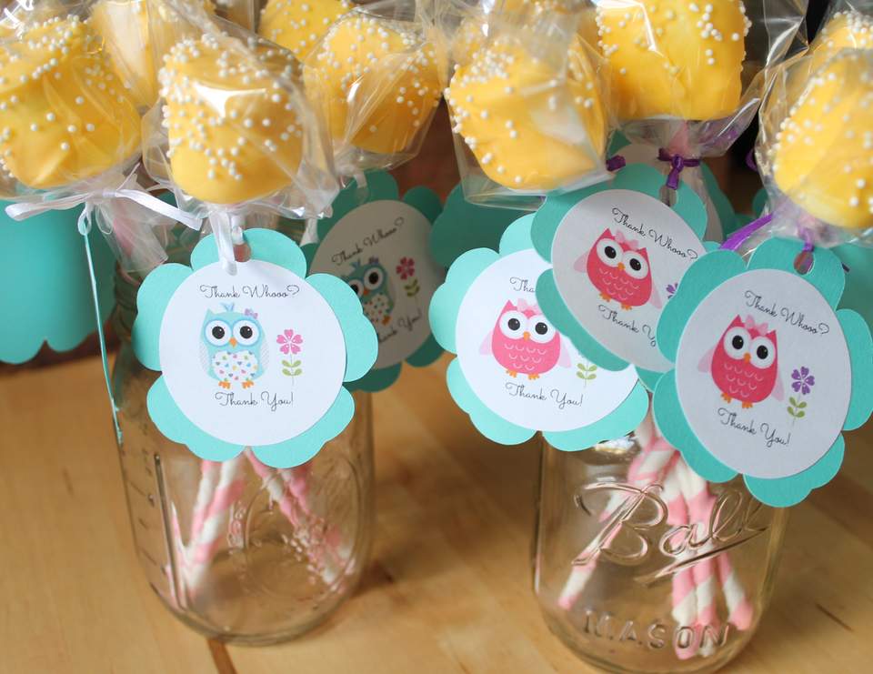 Owls / Birthday "Zoe's twooo, Owl party!" | Catch My Party